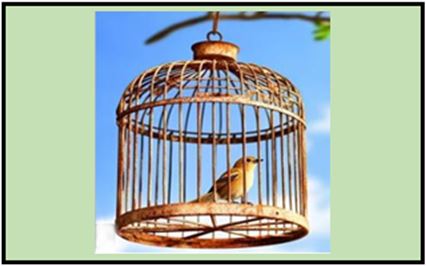 Caged Birds – Life experiences to share….
